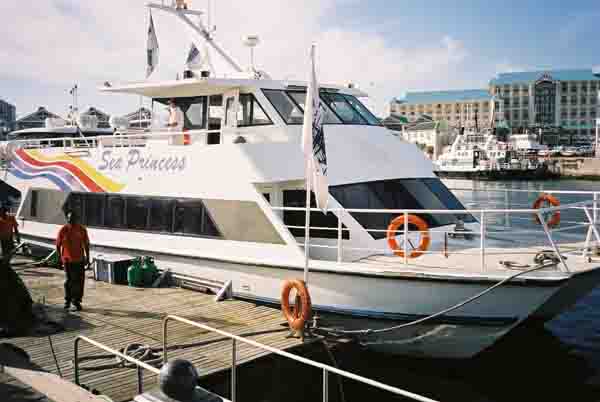 Photos of a Boat Cruise to Sea Point