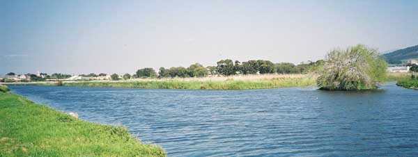 Liesbeeck River, Rondebosch